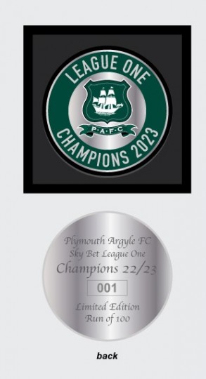 PAFC Scarf